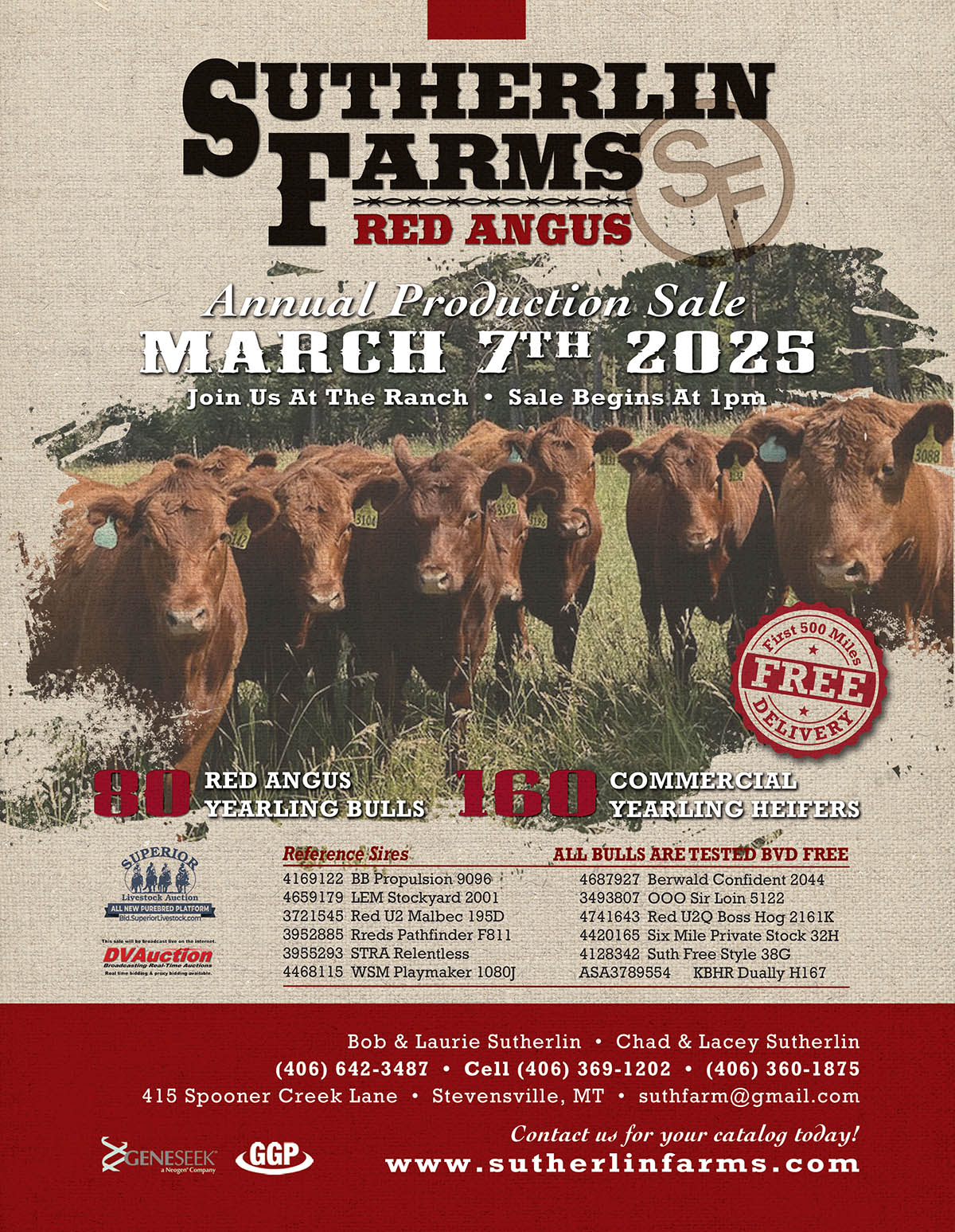 Sutherlin Red Angus Sale | Yearling Bulls Heifers